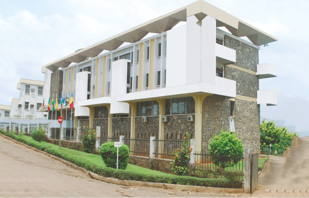 Le Projet – OCEAC – MTN